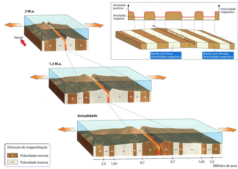 Paleomagnetismo | Biologia e Geologia