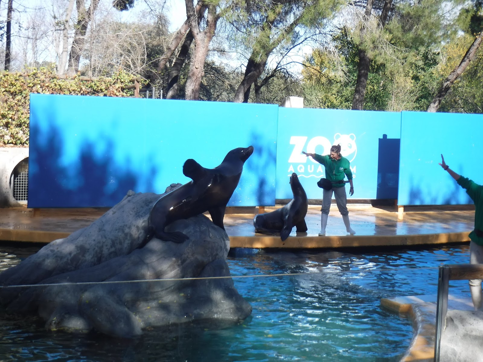 El Rincón de Educar: ¡¡VISITA AL ZOO!!