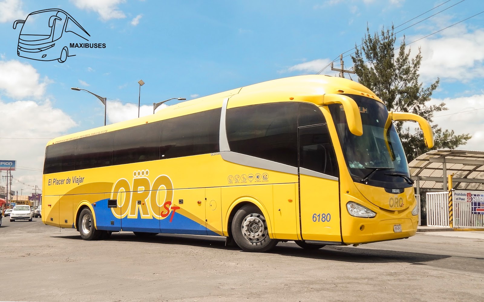 MAXIBUSES: AUTOTRANSPORTES ORO
