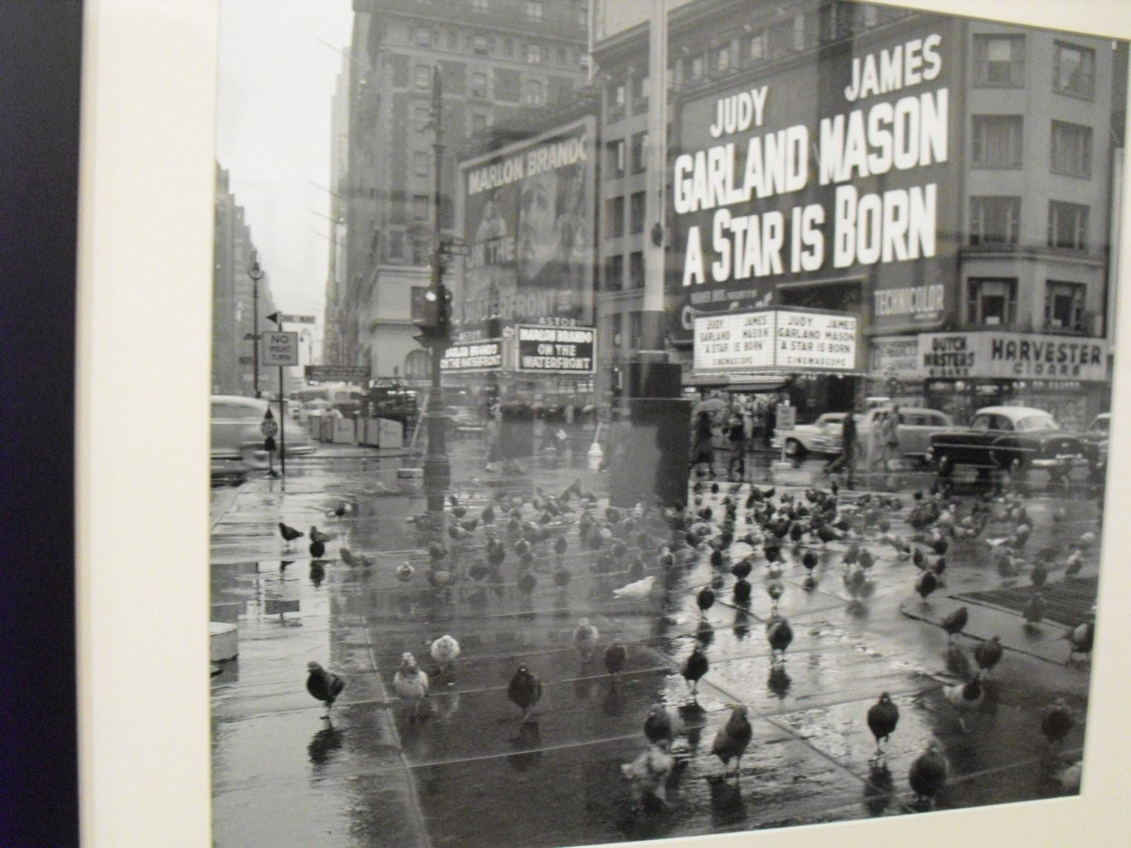 That Man Ray... From Venice: THE PERFECT EXPOSURE GALLERY: FRANK OSCAR ...