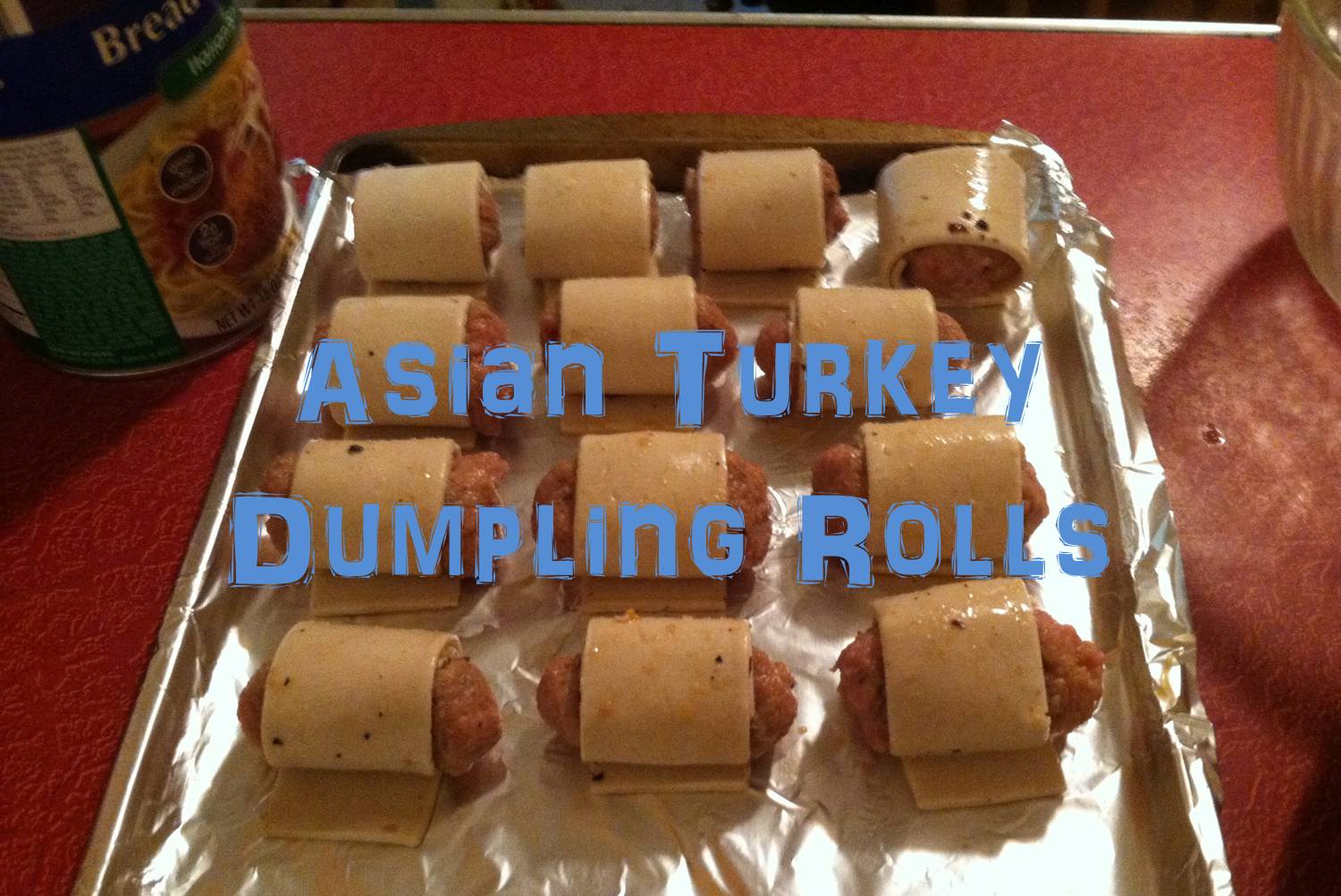"Hey Elliot": Asian Turkey Dumpling Rolls