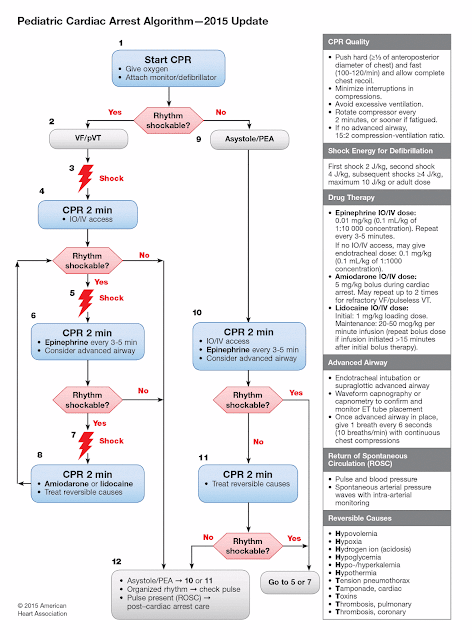 ER goldbook: PALS CPR