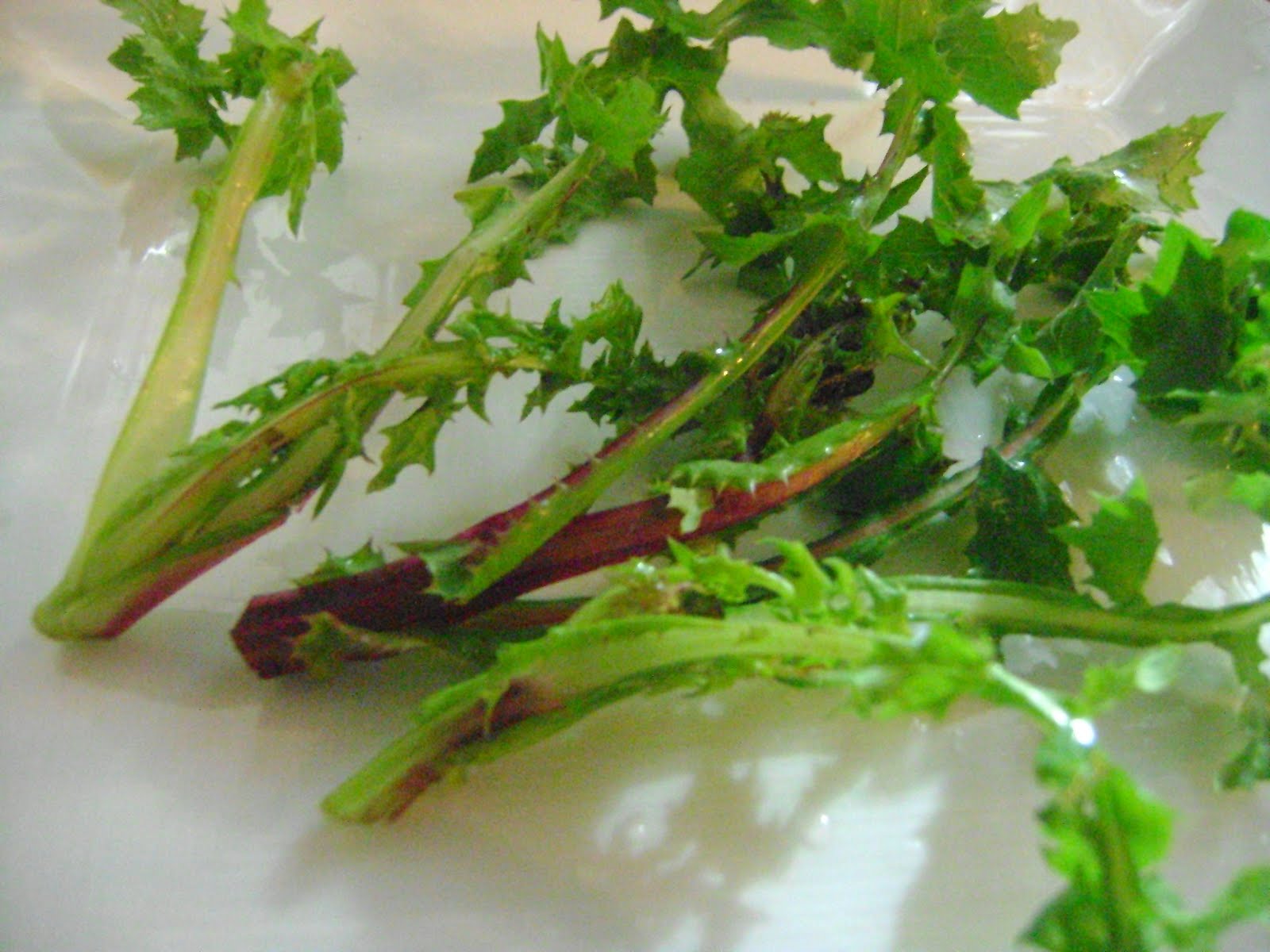 Buongiorno Grisì: A cardedda, un piatto tipico Siciliano.