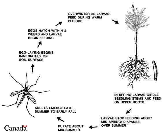S&H Landscape Supply & Recycling Blog: February 2011
