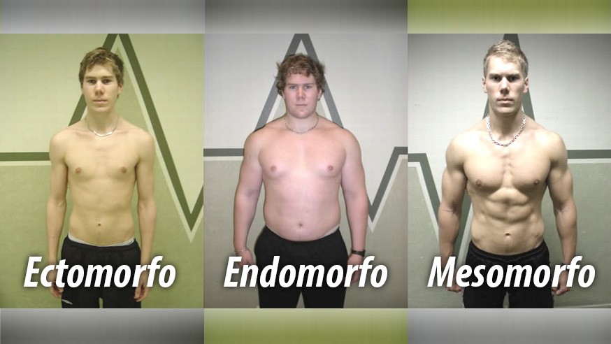 Tu LoCoMoToR73: Tipos cuerpos somáticos: Endomorfos, Ectomorfos y ...