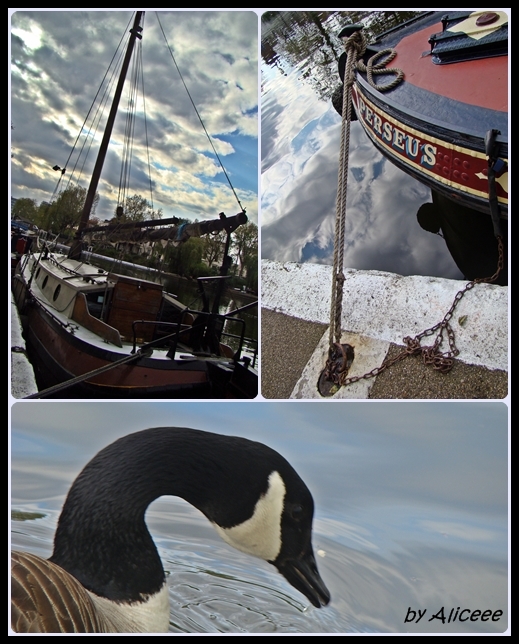 Little Venice - Venetia din Londra - Enciclopedia calatorului independent
