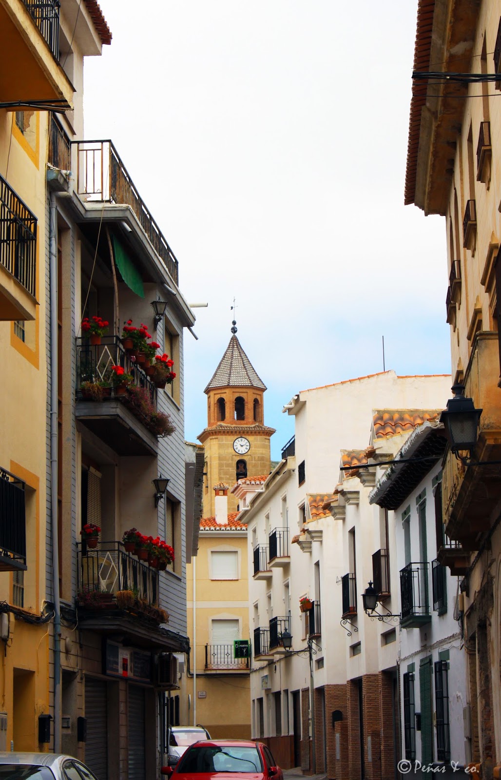 Antonio ´s Blog: El Padul