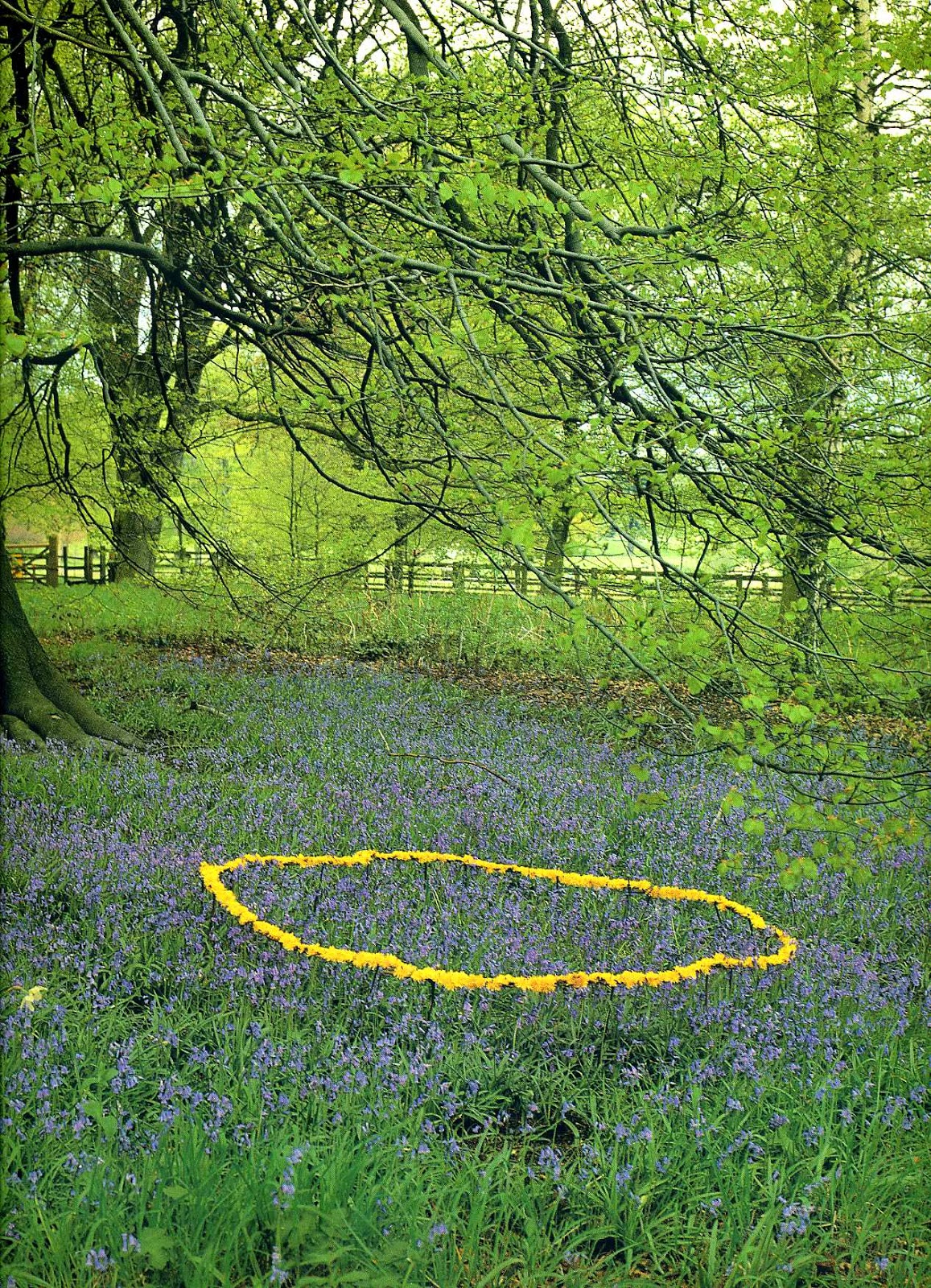 Τέχνης Σύμπαν και Φιλολογία: Andy Goldsworthy: A Collaboration with Nature