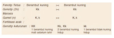 Gen Letal Resesif, Dominan, Letal Manusia Dalam Hereditas Penerapan Dan ...
