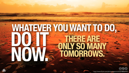 Doitnow rewards - rytemgmt