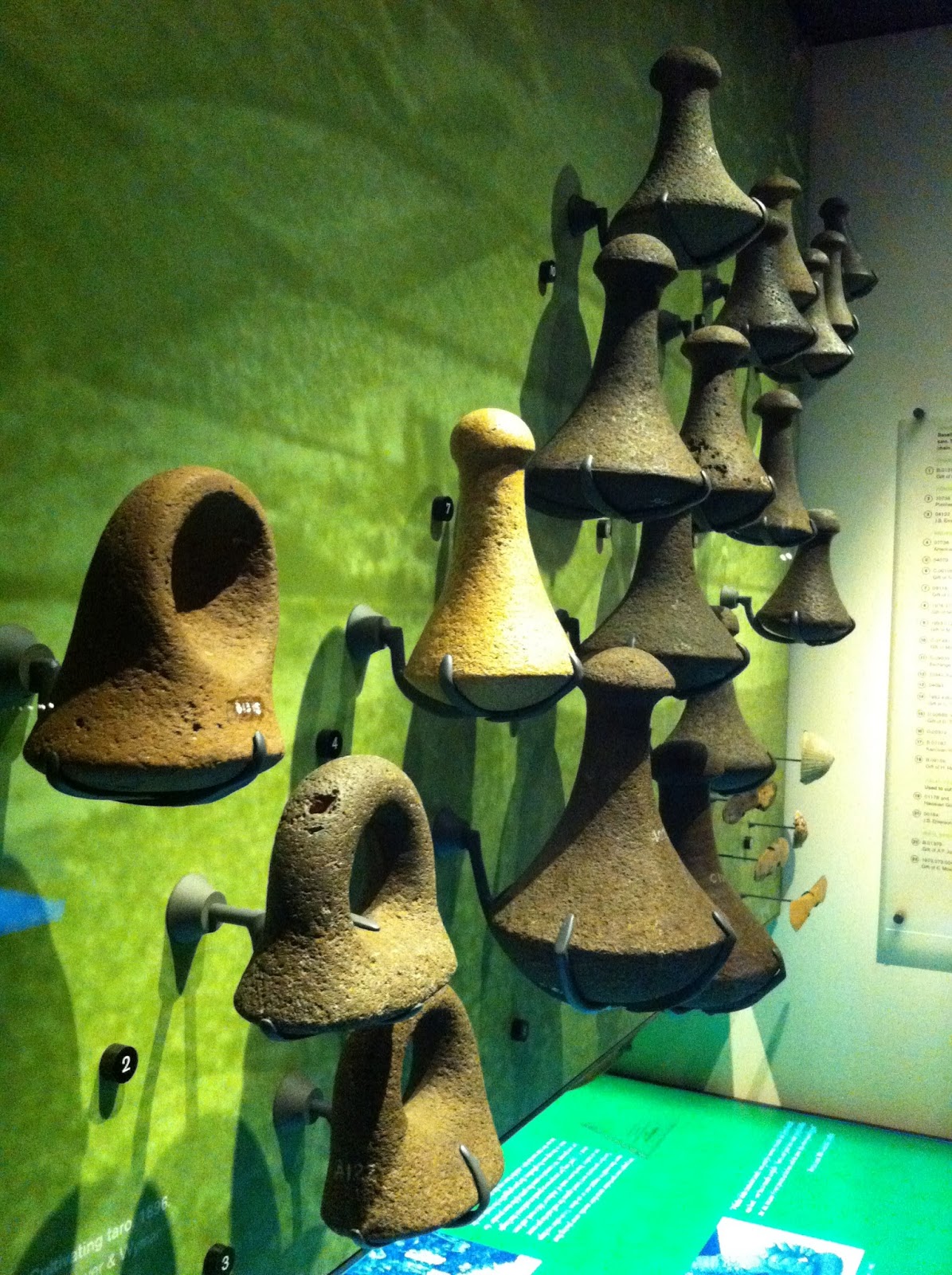 Pohukaina Cave: Museum Friday