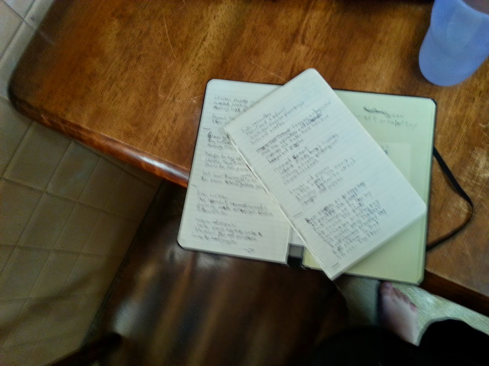 Poets United: Life of a Poet - G.L.Meisner