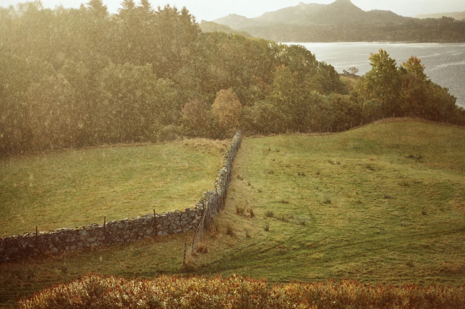 norway's coast in the fall, lygra