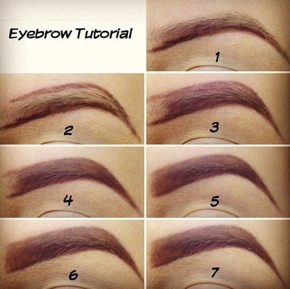 Eyebrow tutorial, Eyebrows and Best eyebrows on Pinterest