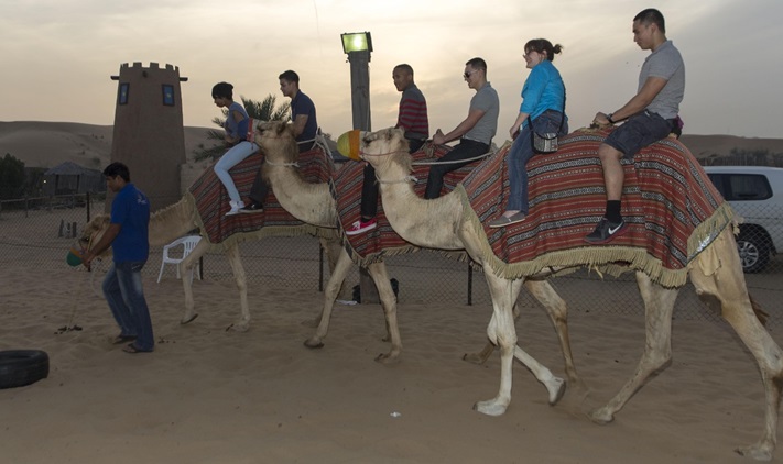 Things You Should Know Before Working in the UAE