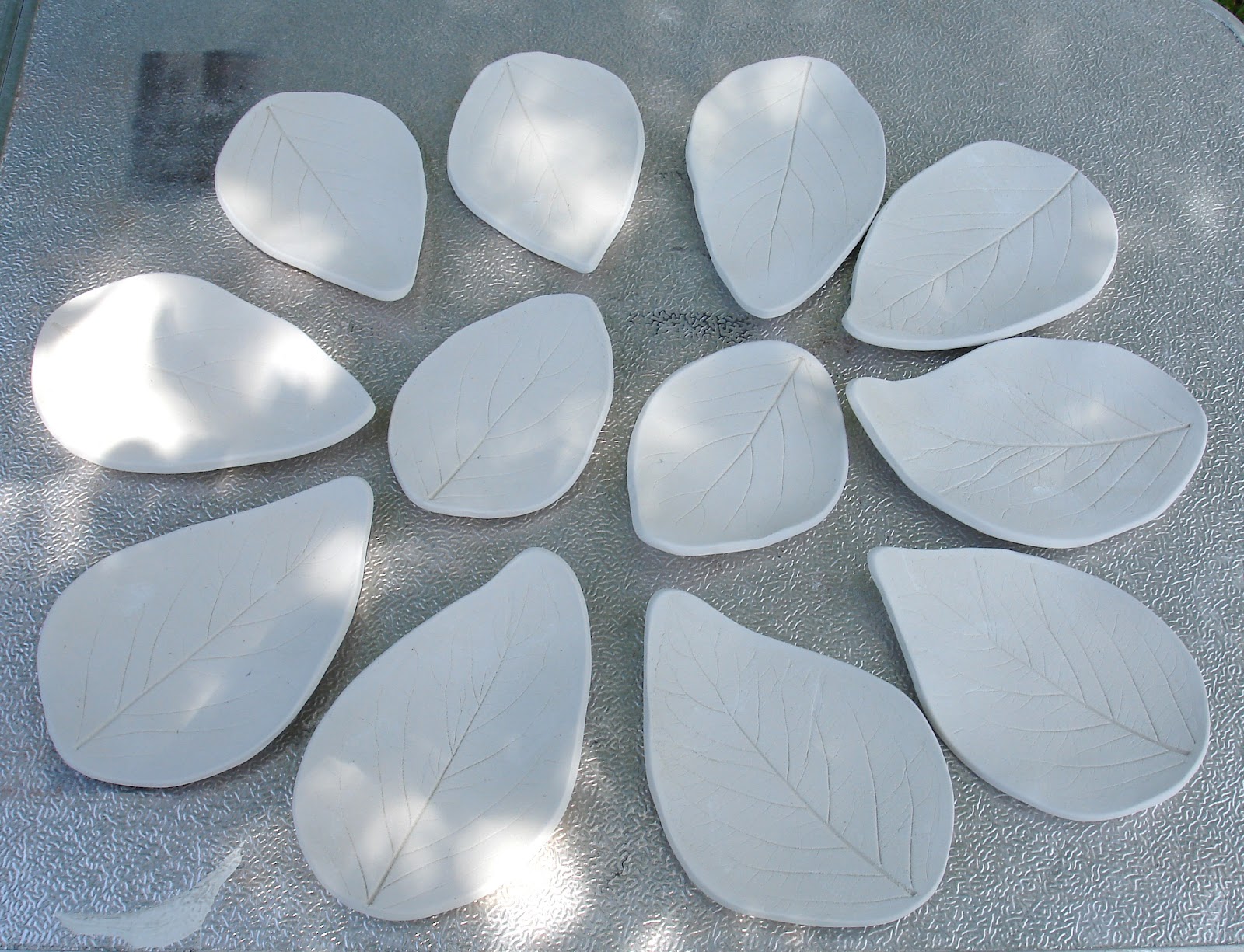 Blue Starr Gallery: Three Toed Tree Toad