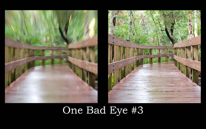 Florida Image Tools: New Florida Photos