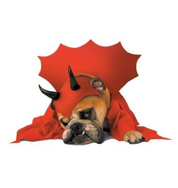 I'm Making It Day by Day!: Family Matters: 10/ 14/2011, A Parade of ...