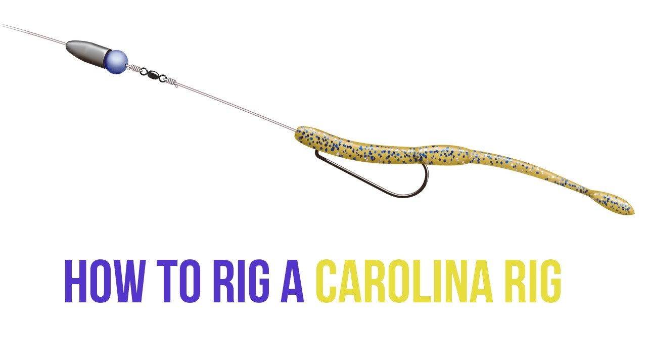 Carolina rig