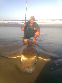 Fishing Report South Africa: Monster fish on .40 line - Duckbill Ray