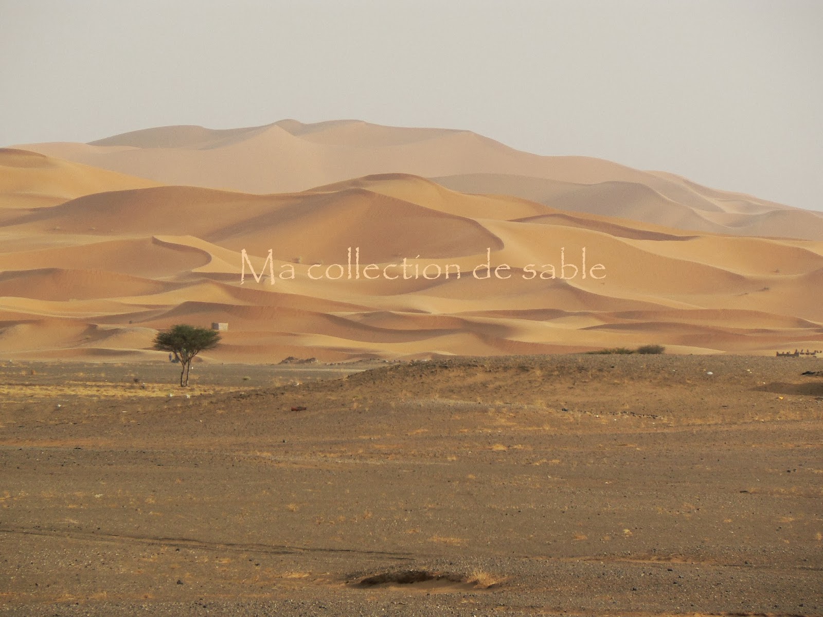 Ma collection de sable: Où trouver du sable