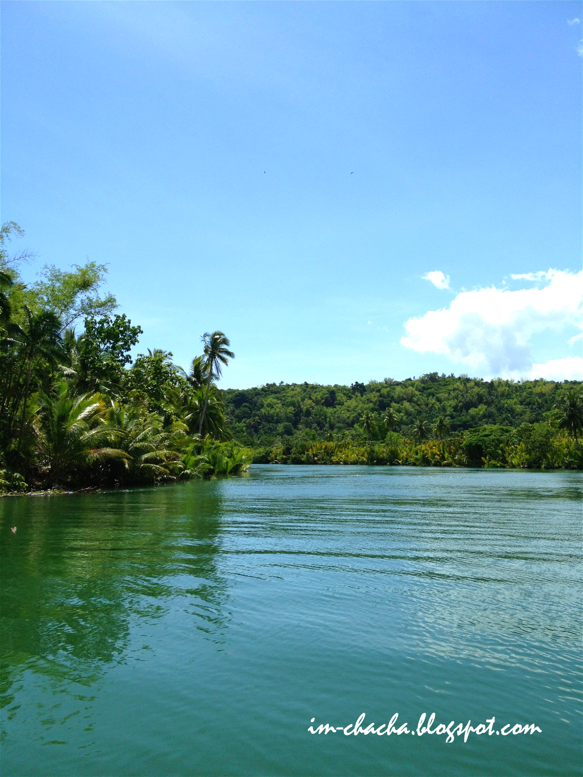 ( Bohol ) One day in Bohol island ~ Chocolate Hills , Tarsier ...