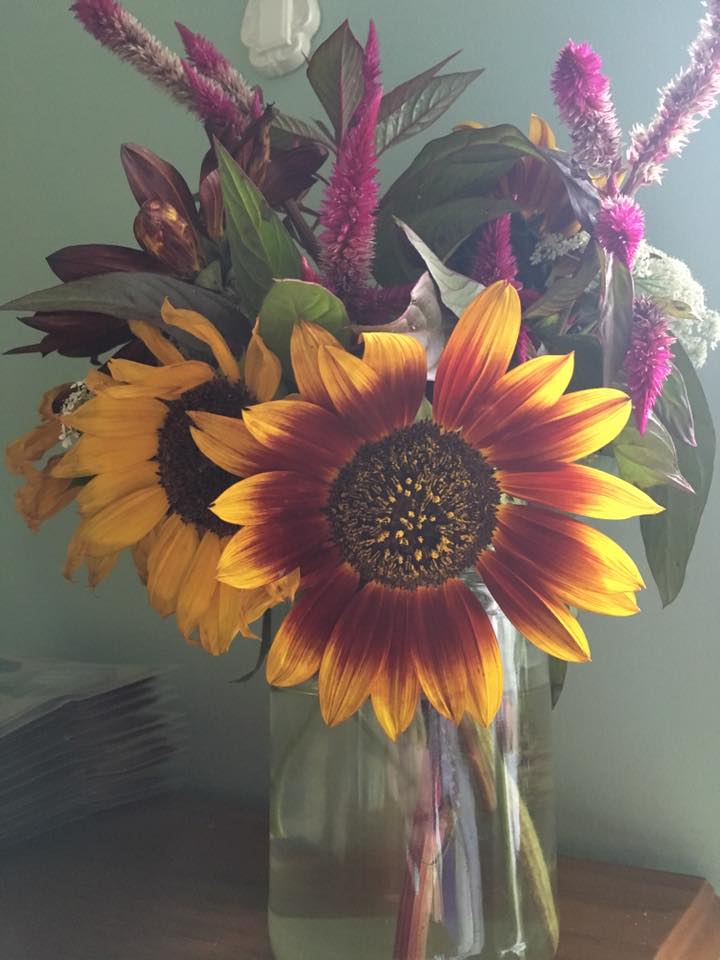 WashingtonGardener: Bloom Day Bouquet