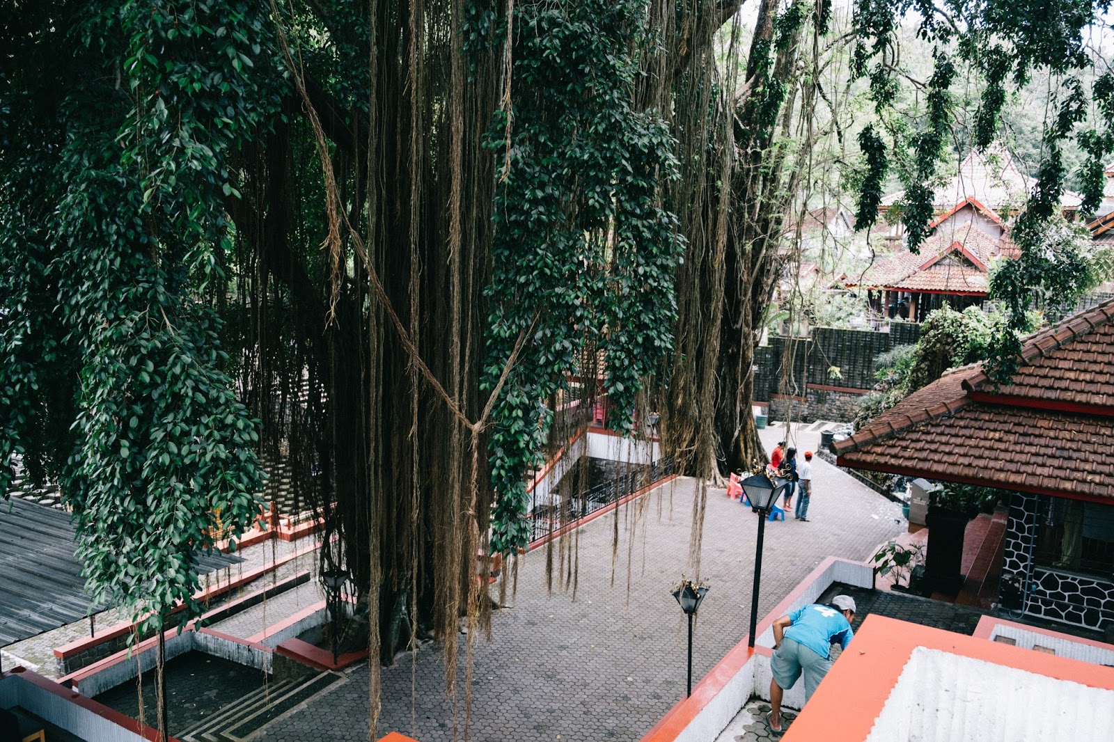 GOA MARIA SENDANGSONO - foodandfeast