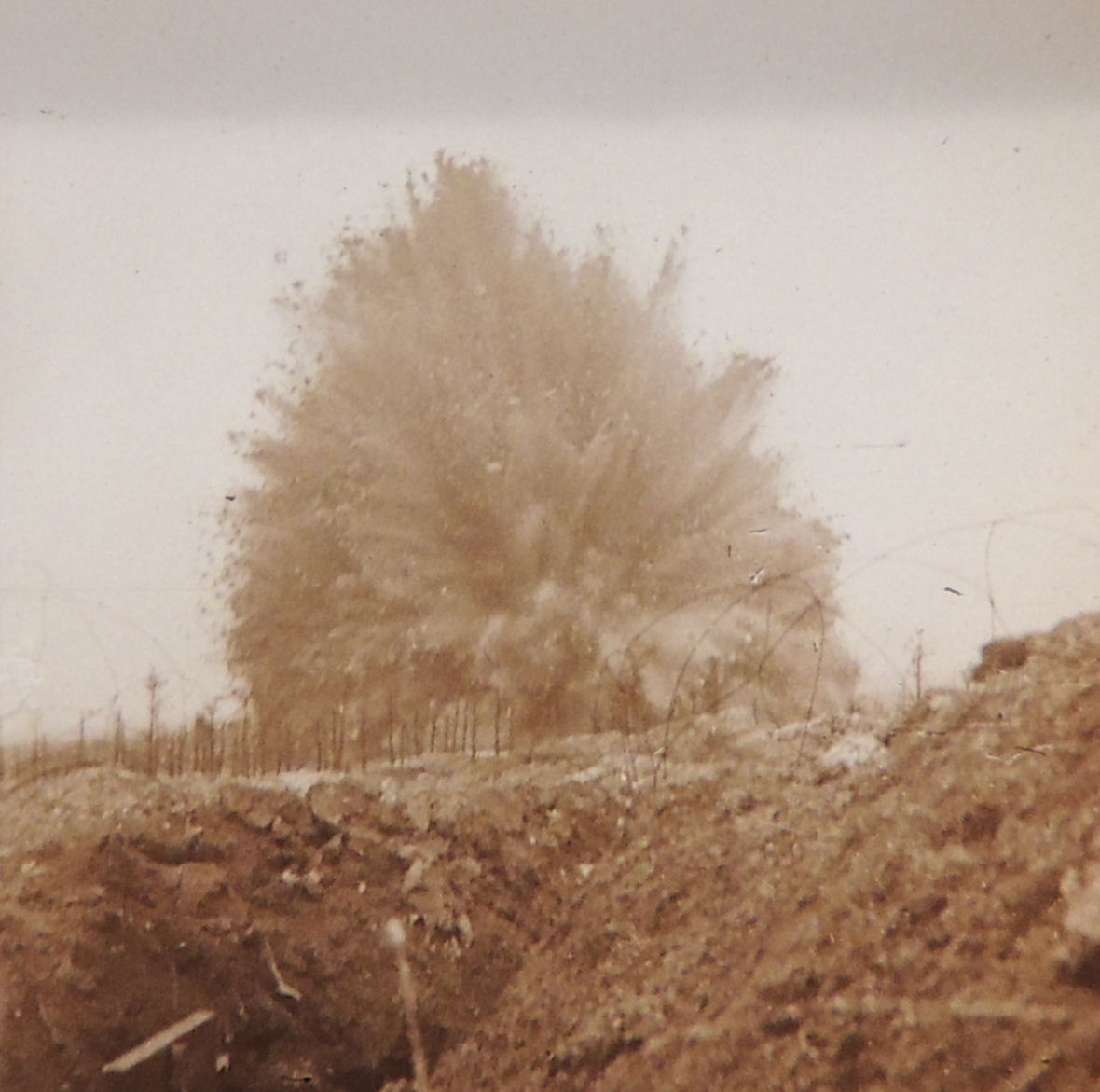 Roads to the Great War: The First Mines of the War Were On the Western ...