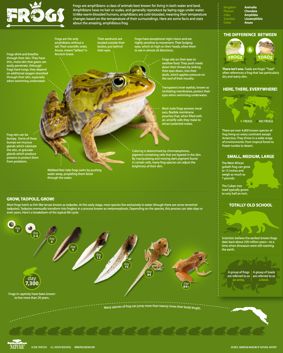 Excelsior Infografia Na Net 4 Proj 3 excelsior-infografia-na-net-4-proj-3