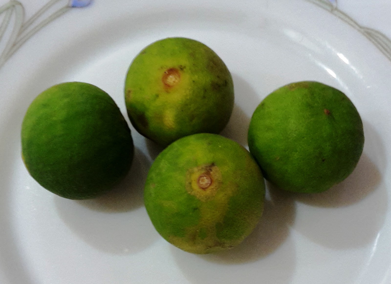 Pondok Rahmat: LIMAU NIPIS DAN ANEKA GUNA