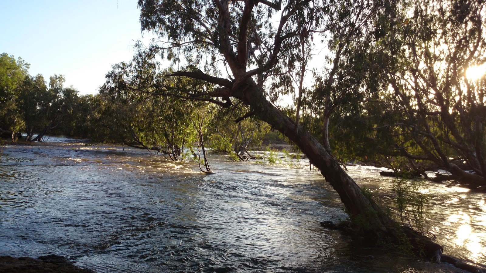 Cooper's Cape York Adventures 2014: Day 6 Cooktown to Kalpowar Crossing ...