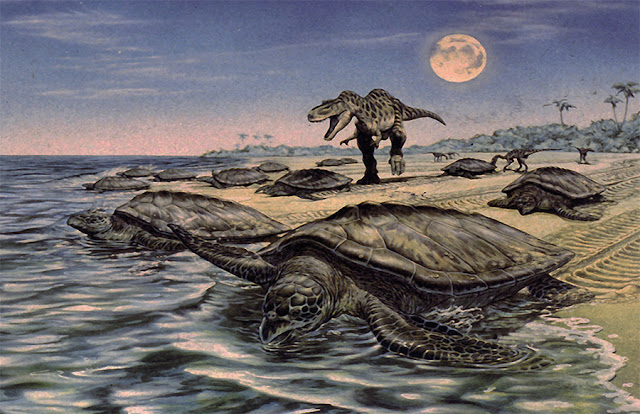 Technical World : Did turtles live with the dinosaurs?