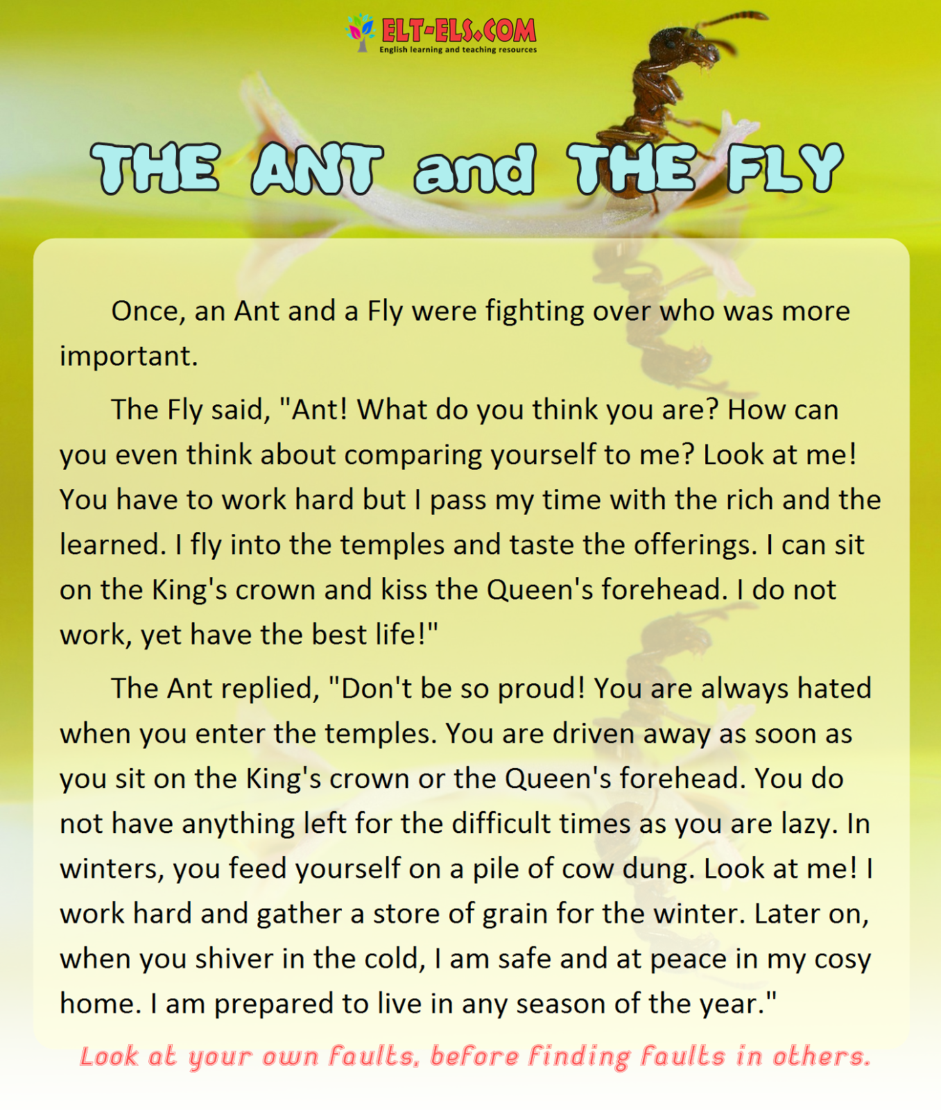 The ant and the fly | www.elt-els.com