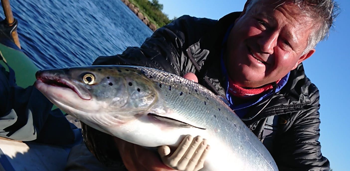 Roxtons Yokanga Blog: 2018