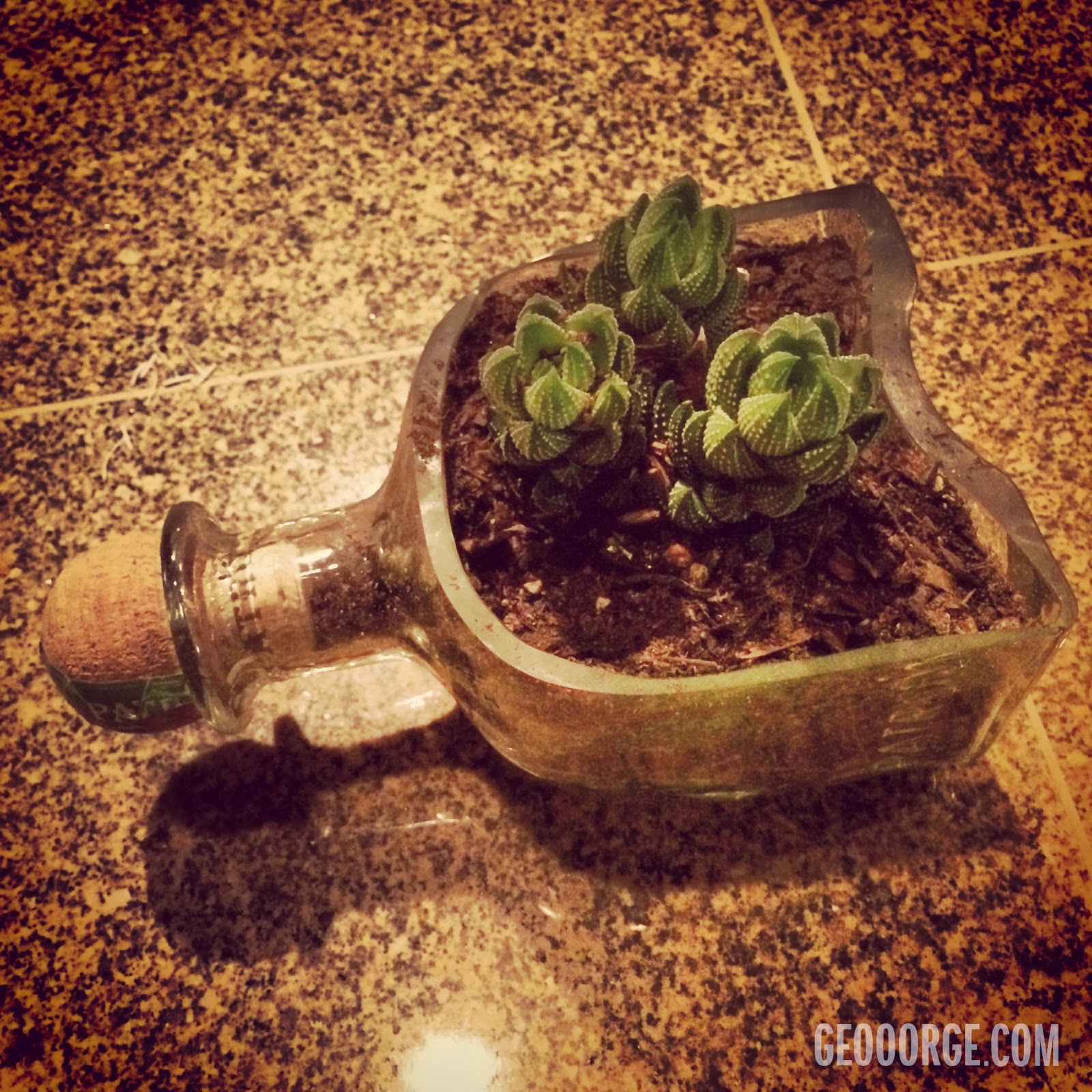 Ashley J George | AD-ventures of a Creative: A Lego Head and Tequila Plant