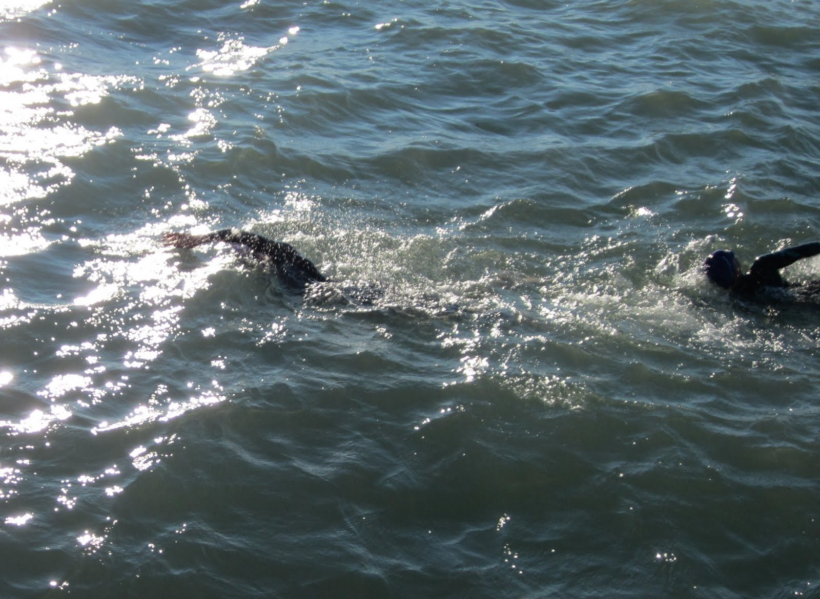 Adrienne Shields: Chicago International Triathlon (8/28/11)