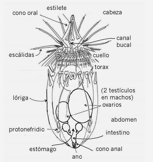 Juan Carlos Sedeño Mota: marzo 2015