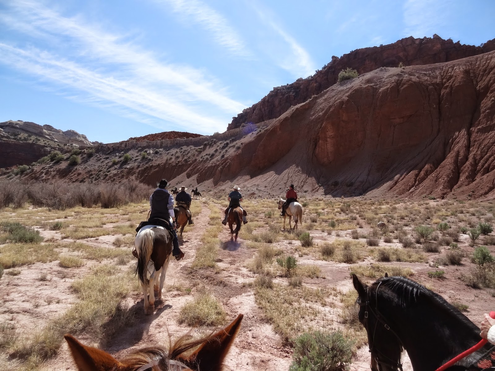 Dream Packer Trail Adventures: Paria River to Lower Hackberry Canyon, Utah