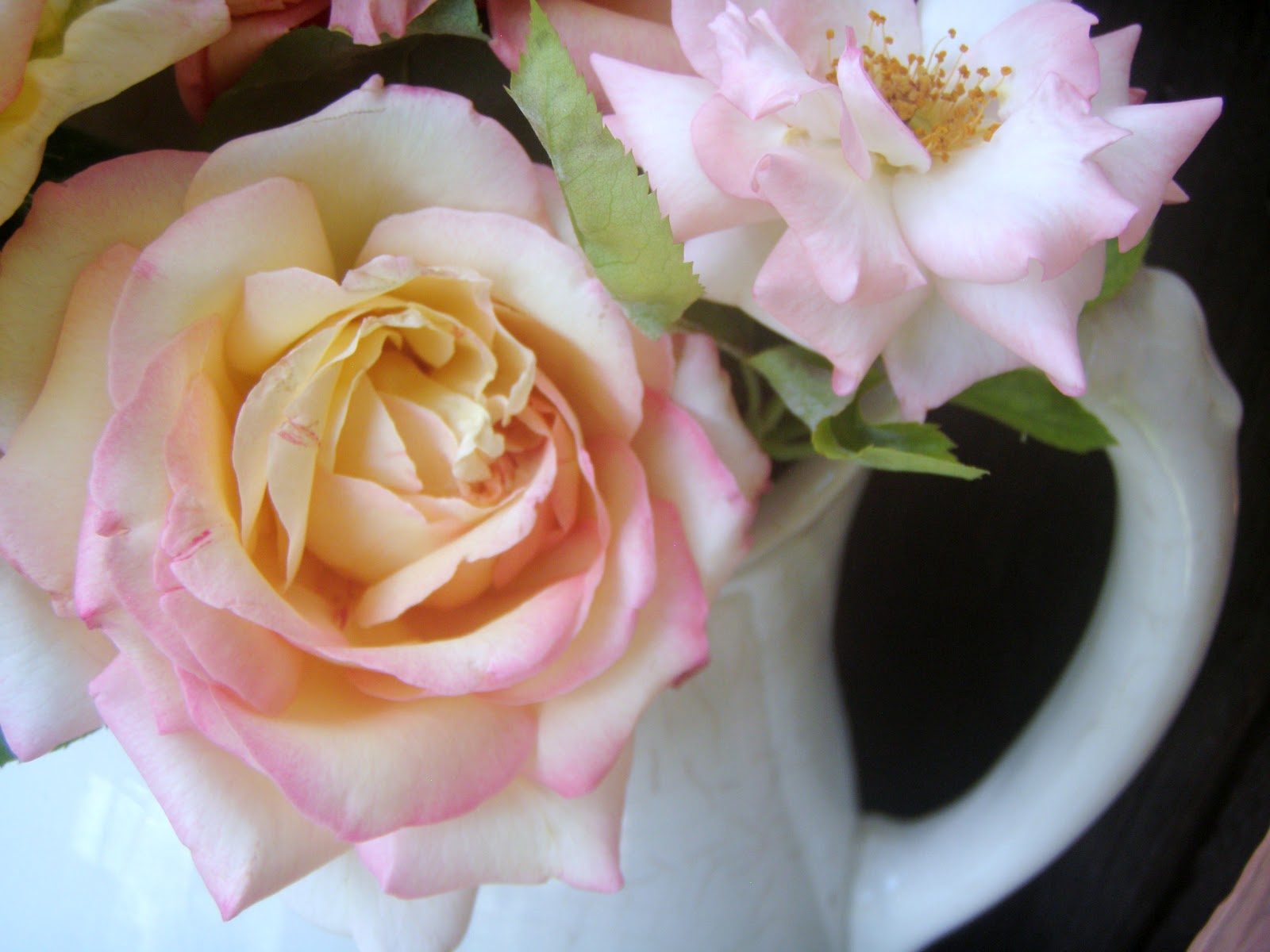 Cabin & Cottage : Country Roses