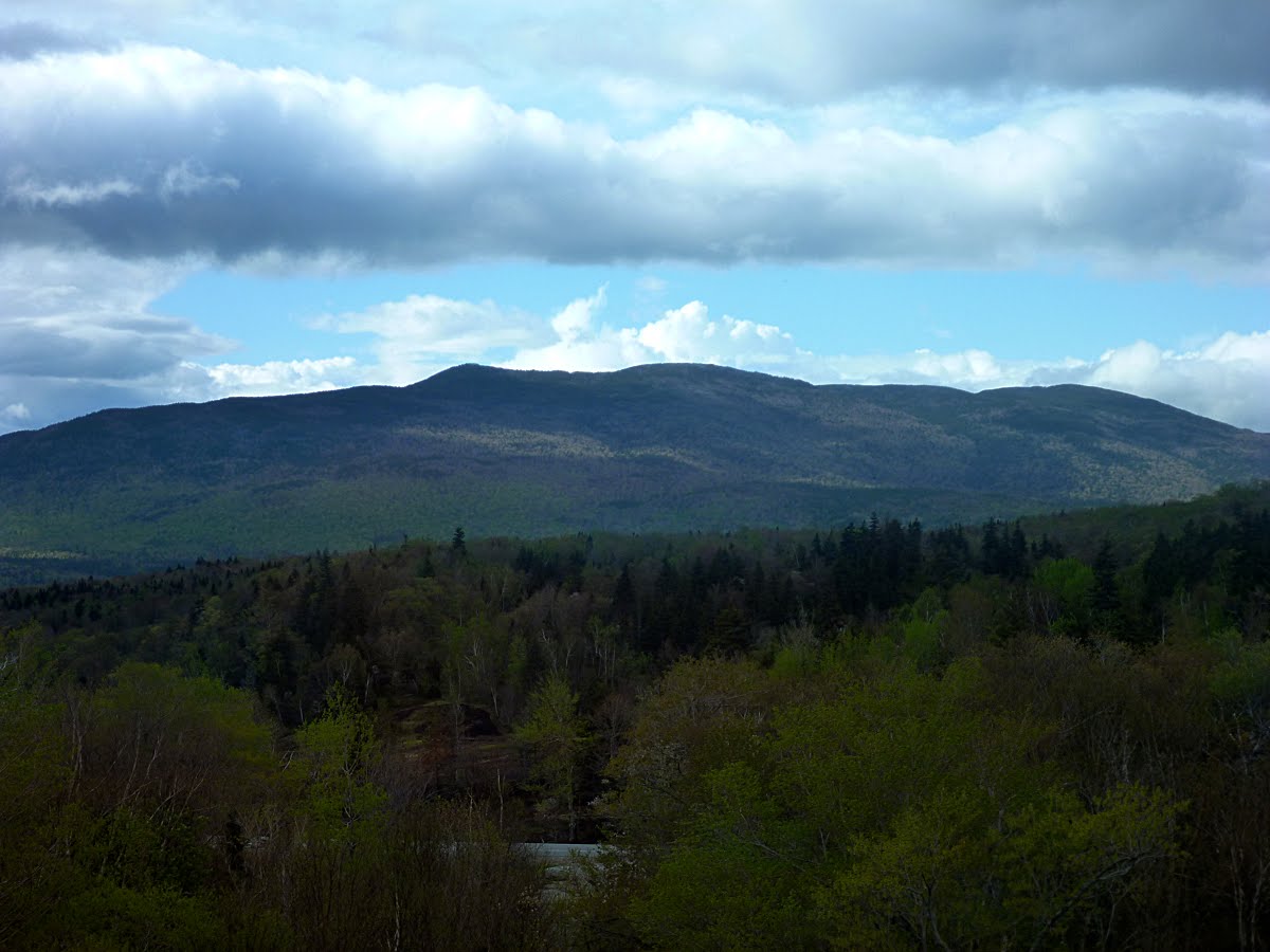 White Mountain Sojourn: 4-30-11 Mt. Deception