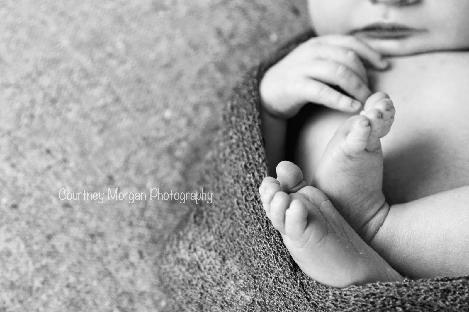 Courtney Morgan Photography