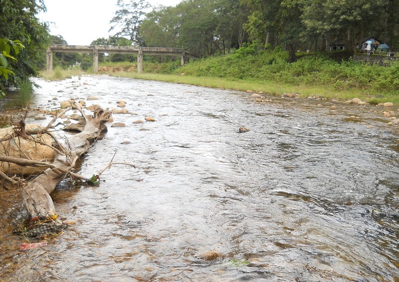 Tamilnadu Tourism: Kalikesam Forest & Waterfalls, Kanyakumari