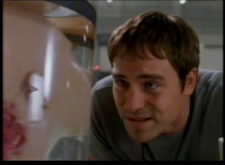 Todo El Terror Del Mundo: El Enjambre Del Infierno (Hell Swarm) (MK Ultra) (Halálraj) (Sminos ...