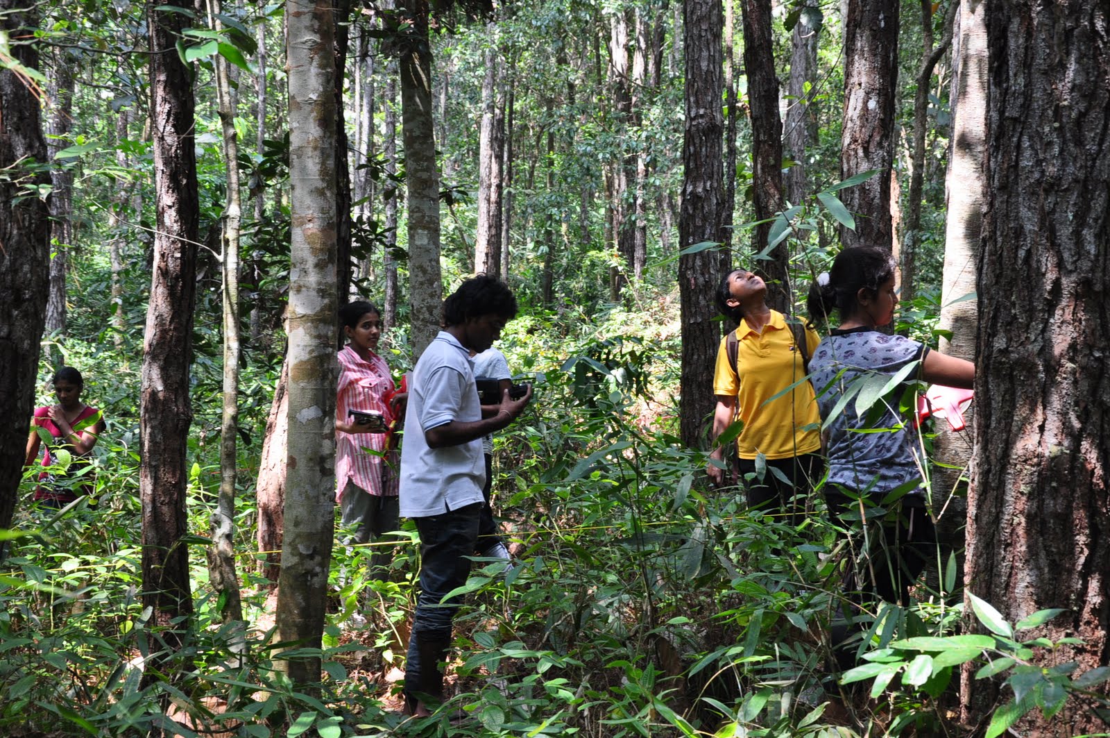 Yagirala Forest Reserve, Sri Lanka