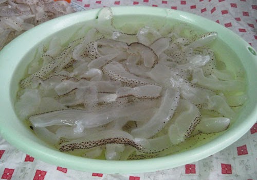 Raw Jelly Fish with Green Mango Recipe - Vietnam Famous Destinations