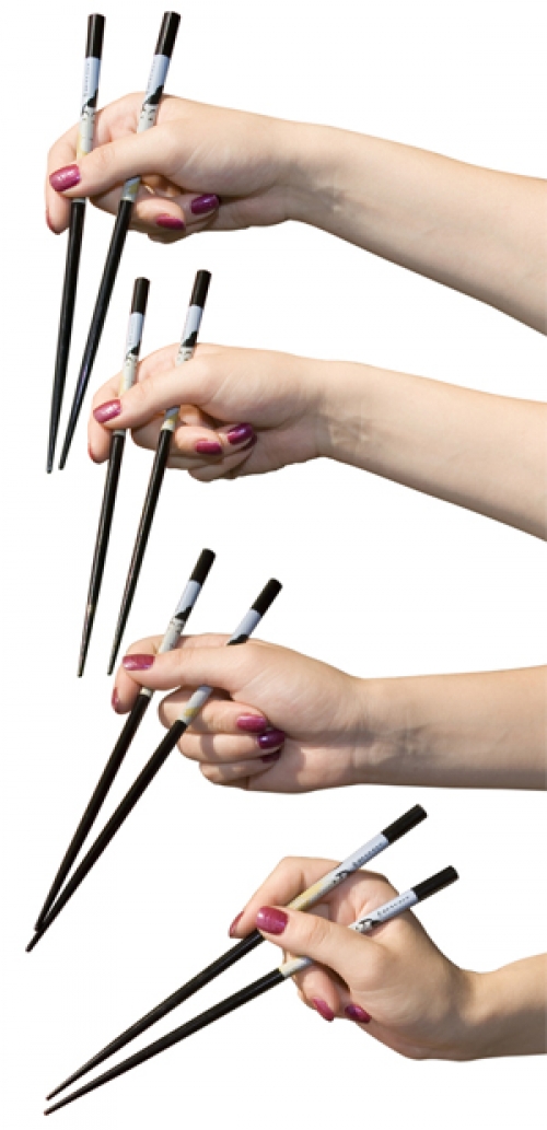 Viva Vida Oriental: Hashi