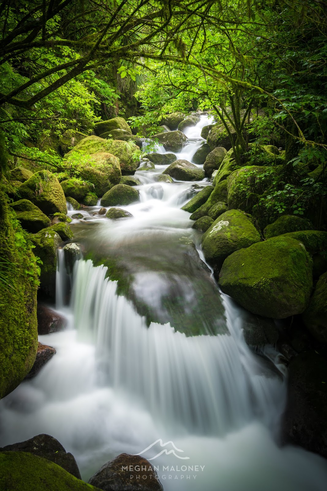 10 Must-See Waterfalls in New Zealand