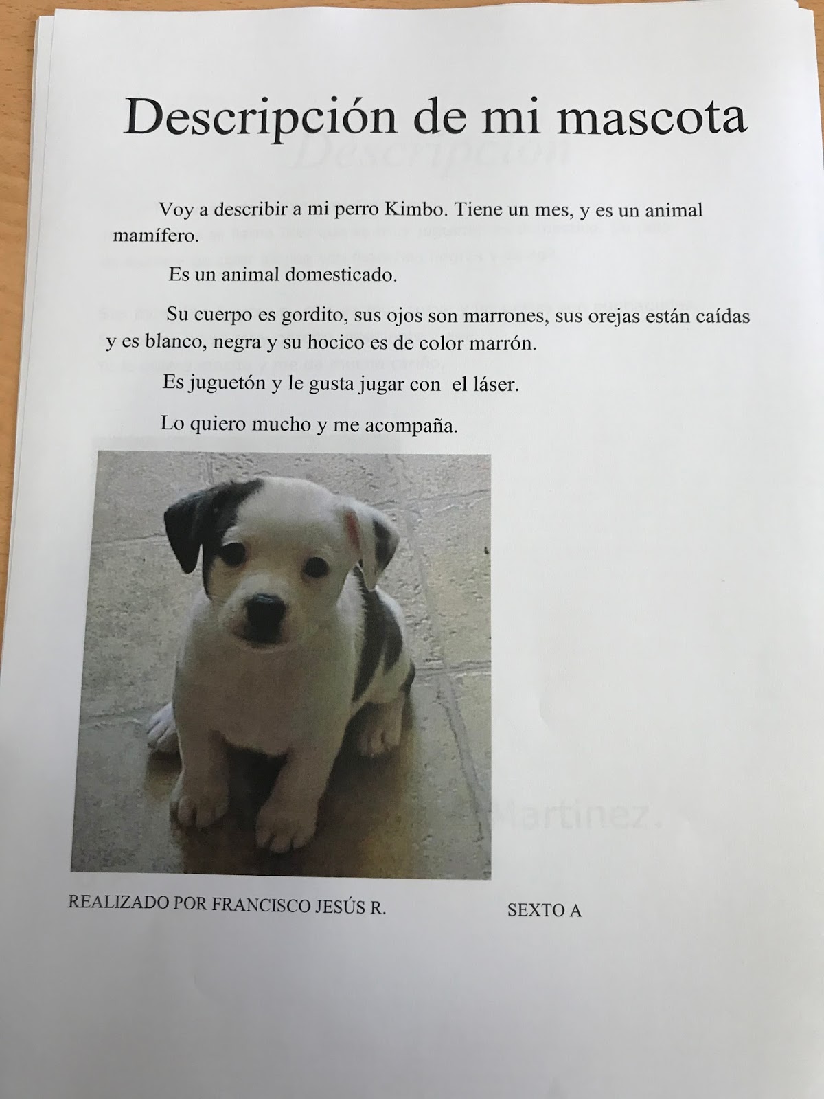 LA VENTANA DE MI CLASE DE TERCERO: DESCRIPCIÓN DE MI MASCOTA