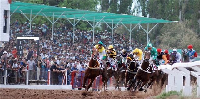 PASION TURFISTICA: Respuestas Trivia Turf